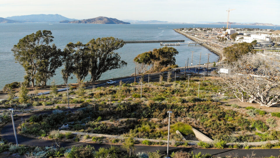 Image Credit: Andrea Gaffney