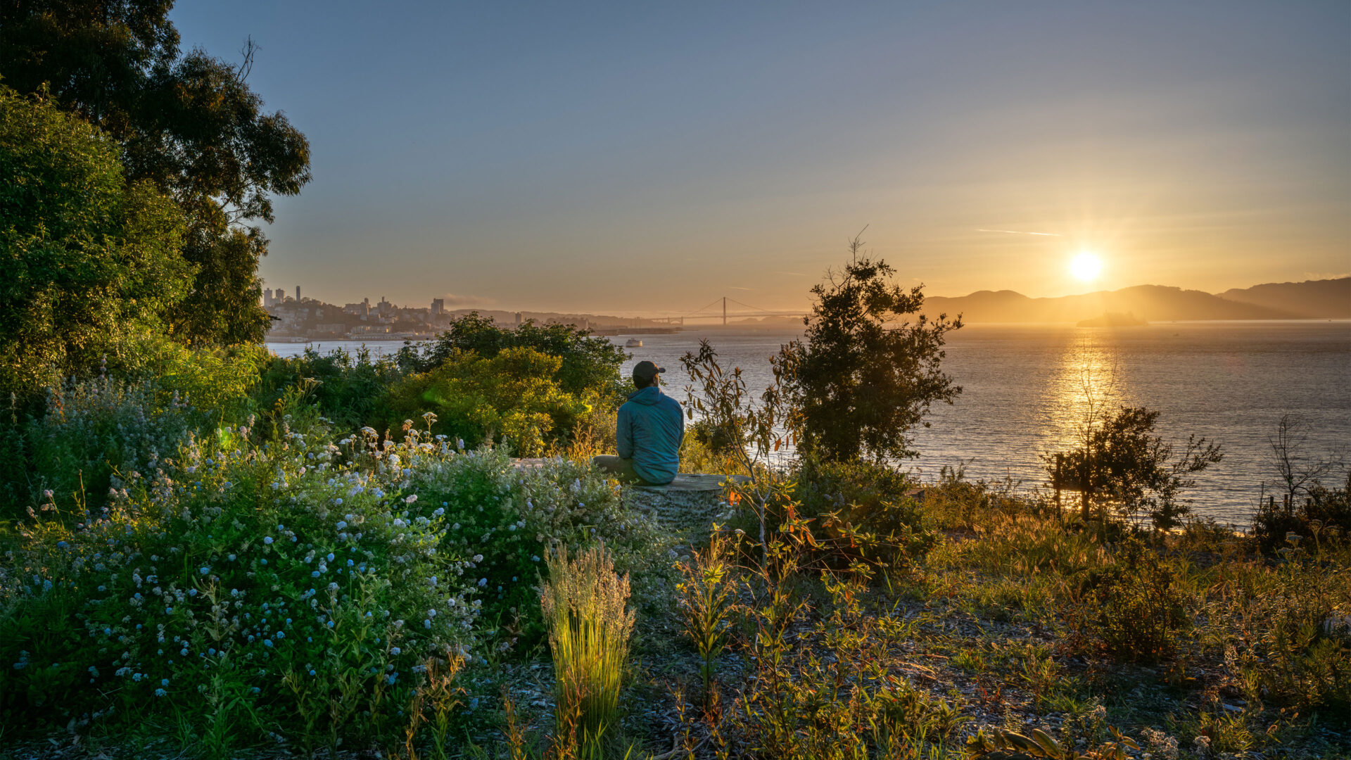 Image Credit: Andrea Gaffney