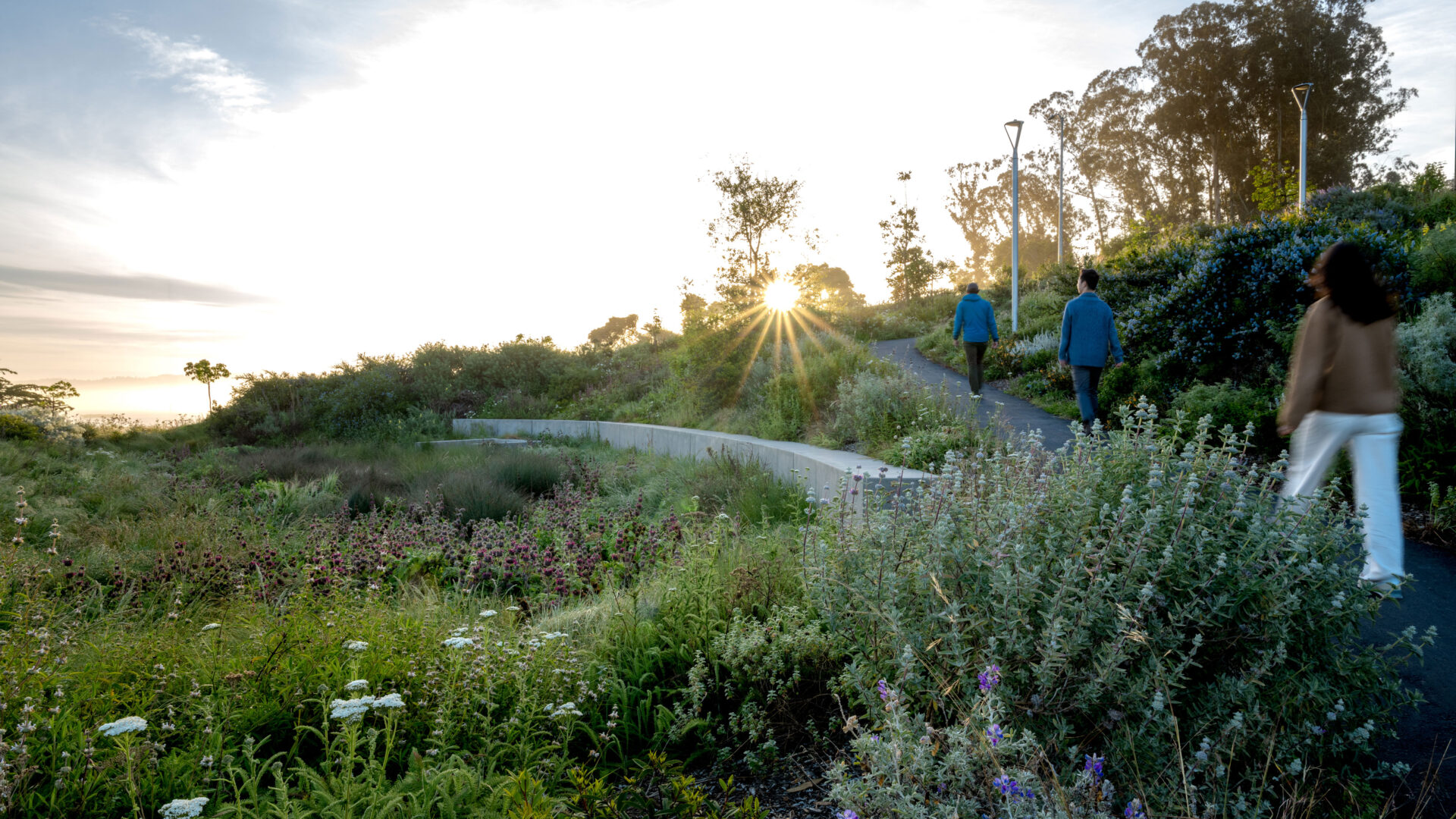 mission ideas news careers contact